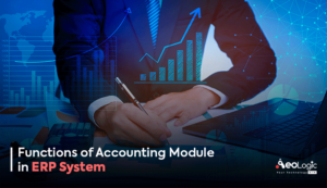 Functions of Accounting Module in ERP System - AeoLogic Blog