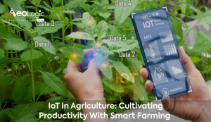 IoT in Agriculture: Cultivating Productivity with Smart Farming ...